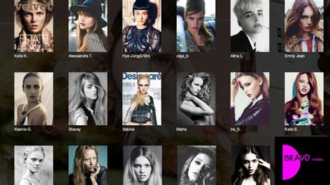 Image result for Japan Modeling