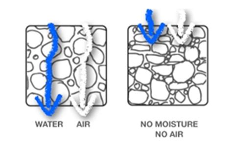 Image result for Humus Earth Science