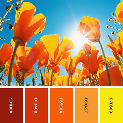 Image result for Warm Color Patterns