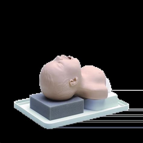 Image result for Neonatal Intubation