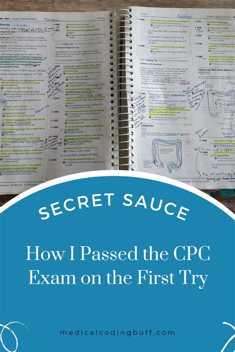 Image result for York Tech Medical Coding Course