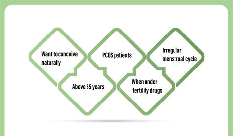 Image result for Follicular Study Scan