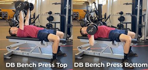 Image result for Open Chain and Closed Chain Exercise