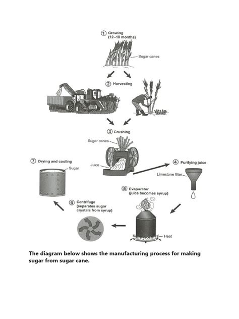 Image result for Homework Process