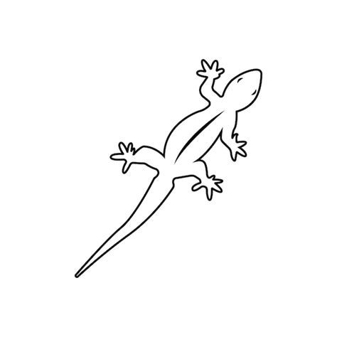Image result for House Lizard Drawing