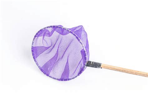 Image result for Small Image Net