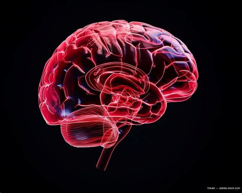 Image result for Visual System Retina