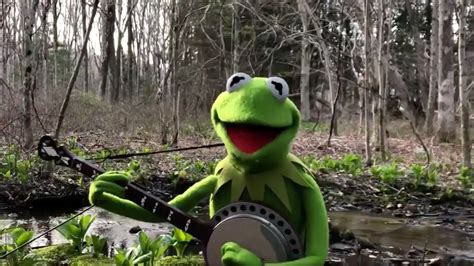 Image result for Kermit Swamp Rainbow Connection
