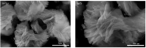 Image result for PD ZrO2