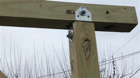 Image result for Spring Pole Dog Training