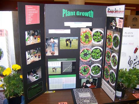 Image result for 3rd Grade Science Project Display