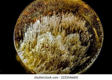 Image result for Creative Clips Ice