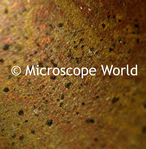 Image result for Copper Under Microscope