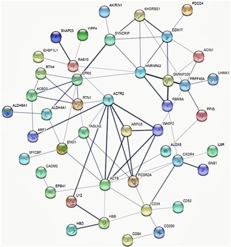 Image result for Protein Interactions Simulating Software
