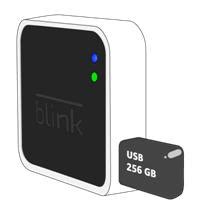 Image result for Blink Sync Module 2 USB