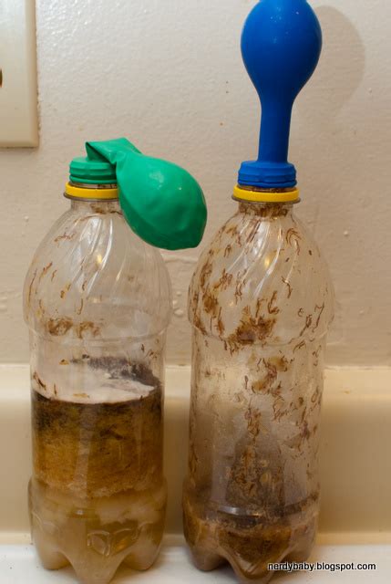 Image result for Sticker Balloon Experiment