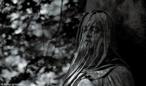 Image result for The Shadow S Bride