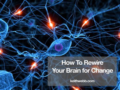 Image result for Reprogramming the Brain