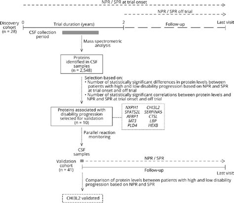 Image result for Summarizing Process