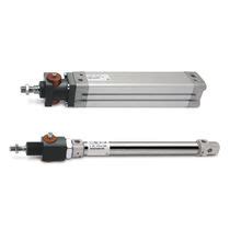 Image result for Pneumatic Rod Lock