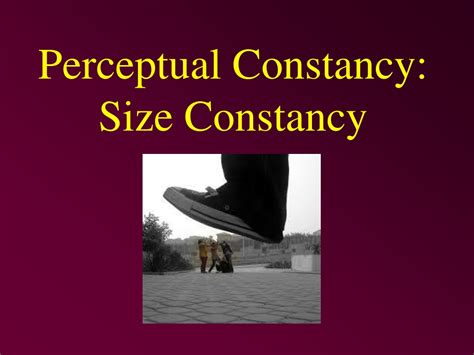 Image result for Perceptual Constancy Example