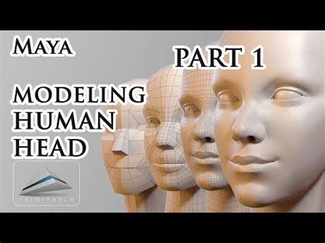 Image result for Head Modeling Tutorial