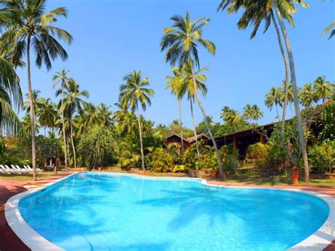 Image result for Winterize Above Ground Pool Intex