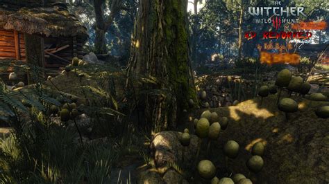 Image result for Witcher 3 Reworked FPS