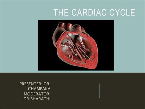Image result for Cardiac Cycle Simple