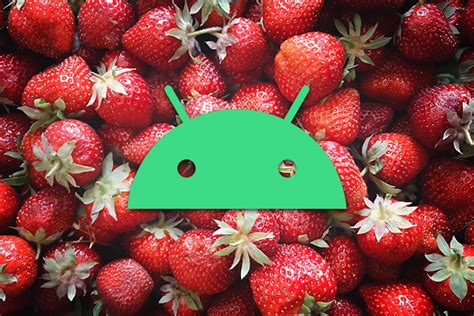 Image result for Androidlifecycle