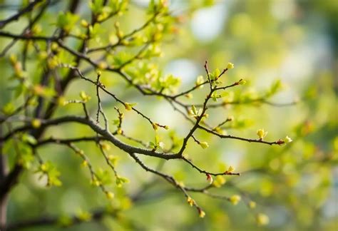 Image result for Data Pruning with SQL