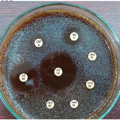 Image result for Disk Diffusion Method
