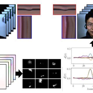 Image result for Motion Magnification