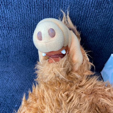 Image result for Alien Productions Alf