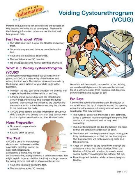 Image result for How Does a Voiding Cystourethrogram Test Work