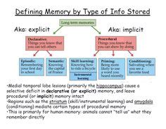 8 Human memory ideas | human memory, psychology, brain memory