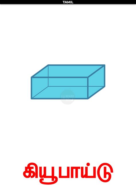 Image result for Maths Shape Makingtamil