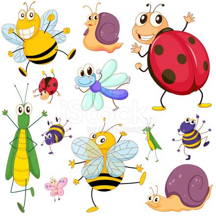 Image result for Insects Group