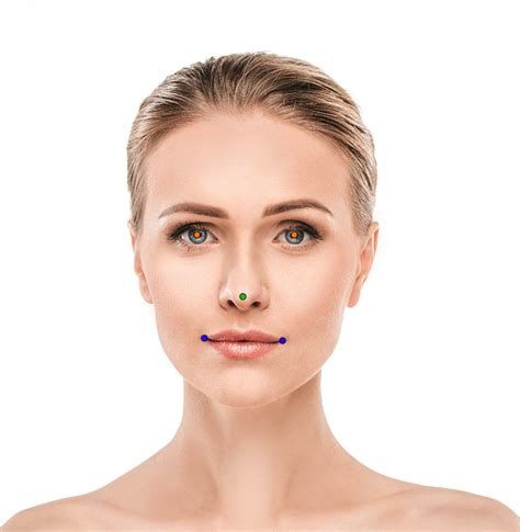 Image result for Types of Annotation