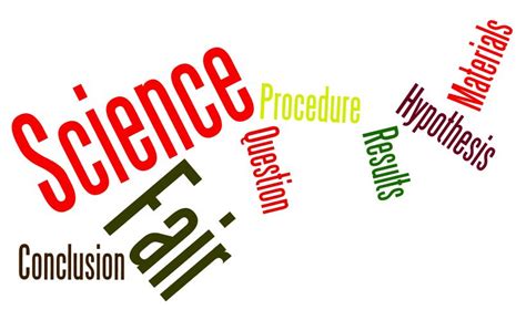 Image result for Visual Example of Conclusion Science