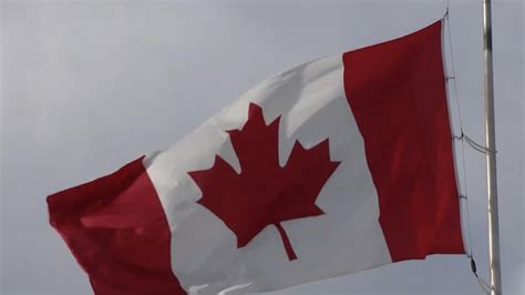 Image result for Quebec Maple Syrup Producers Quebec Maple Syrup Production