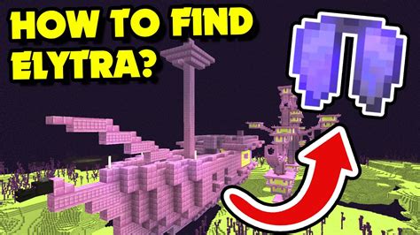 Image result for Elytra Guide