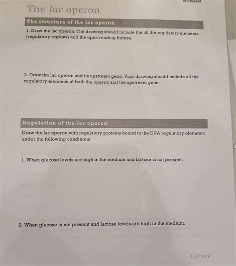 Image result for Lac Operon Worksheet