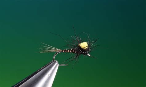 Image result for Floating Nymph Fly Pattern