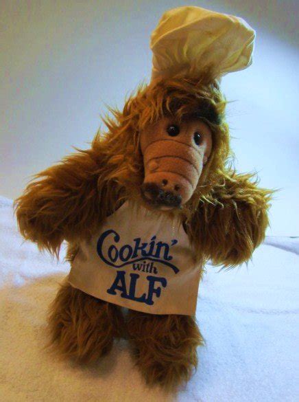 Image result for Alien Productions Alf