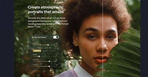 Image result for Luminar AI Training