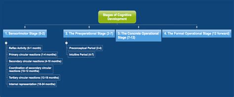 Stages of cognitive development Diagram | Quizlet