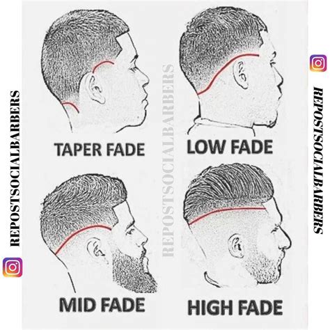 Image result for Ladybug Fade