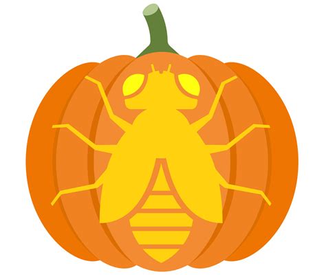Image result for Pumpkin Seed Fly Pattern