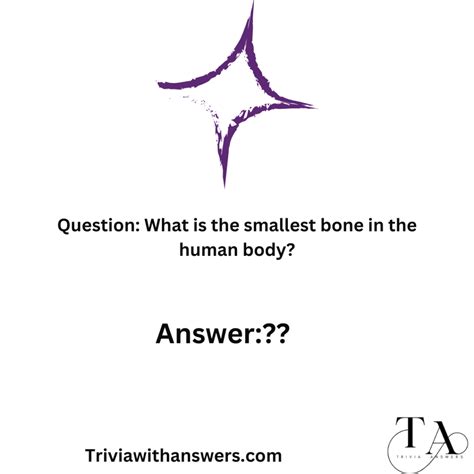 Image result for Random Questions with Answers